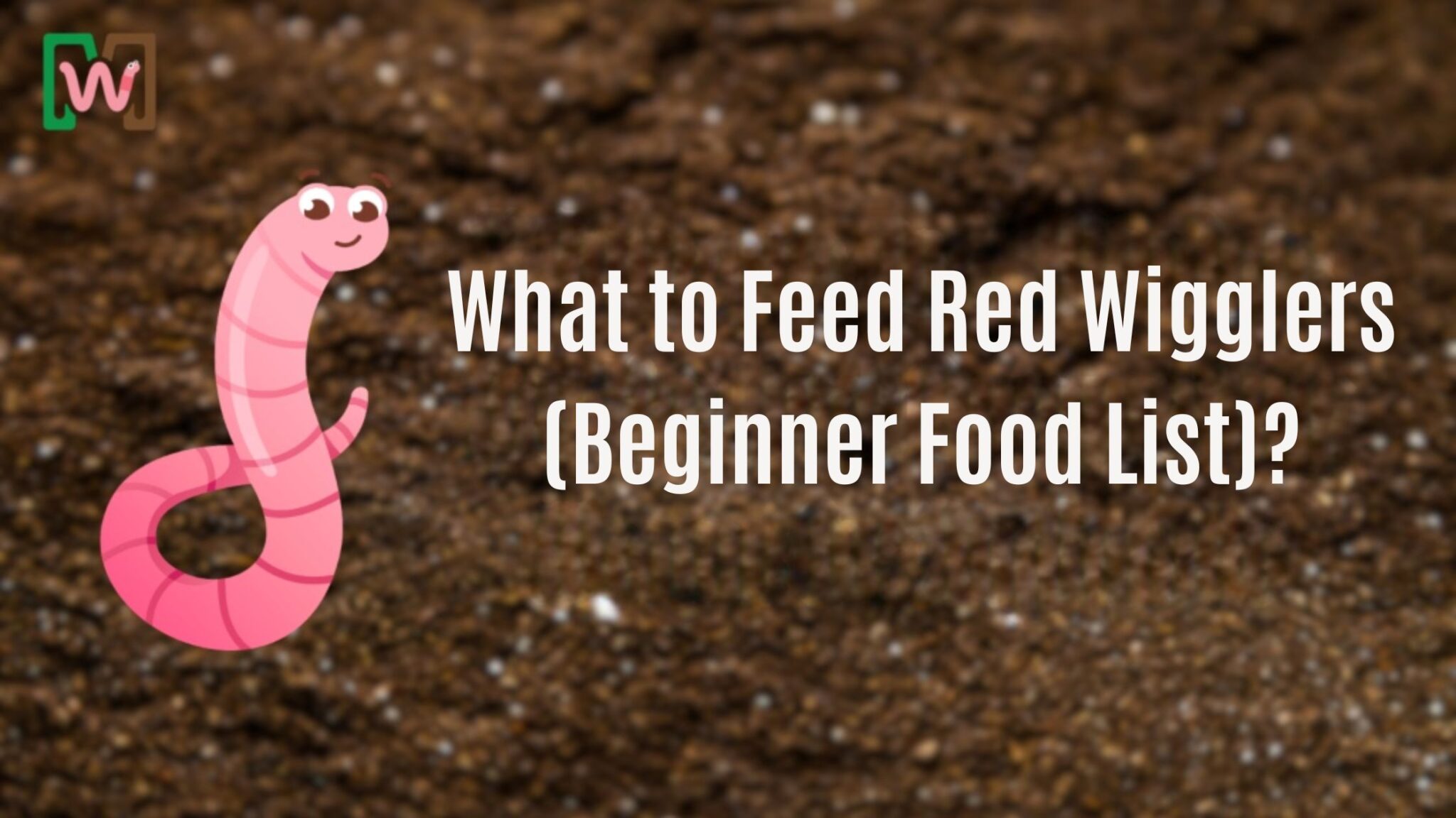 What to Feed Red Wigglers? Beginner's Guide