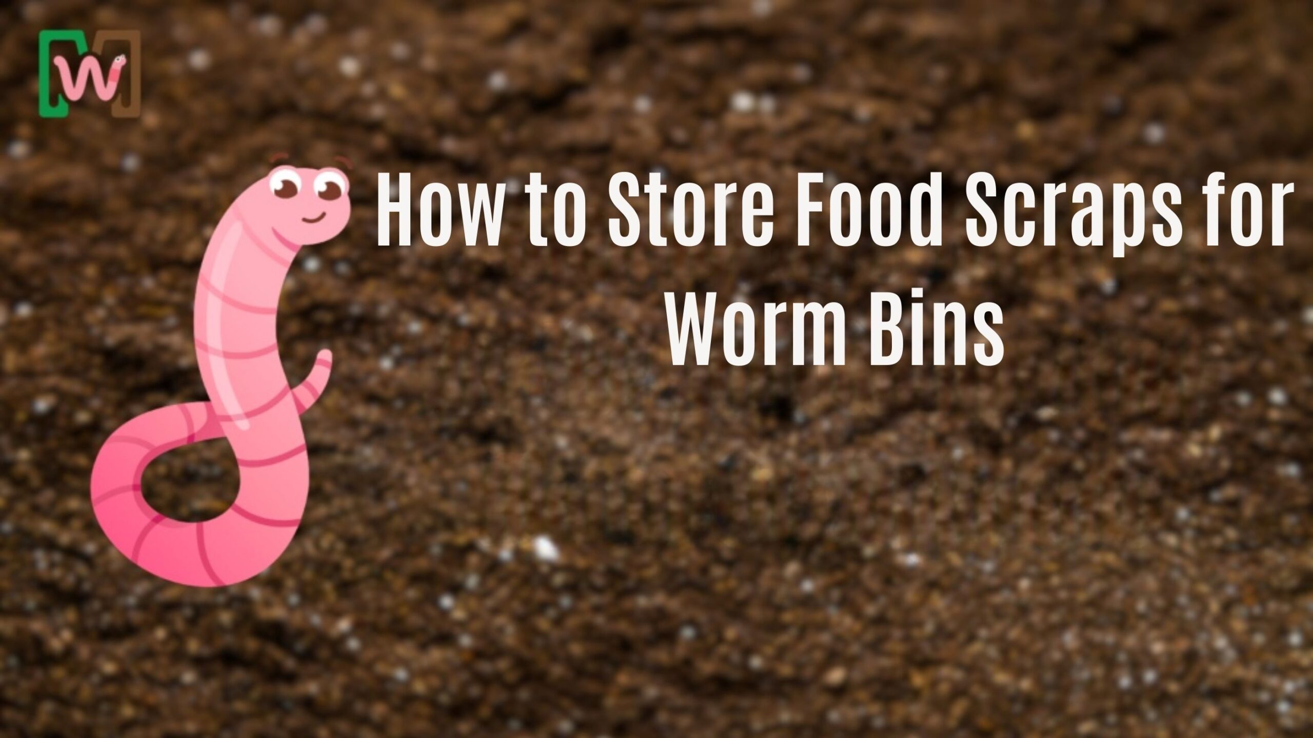 How to Store Food Scraps for Worm Bins Properly