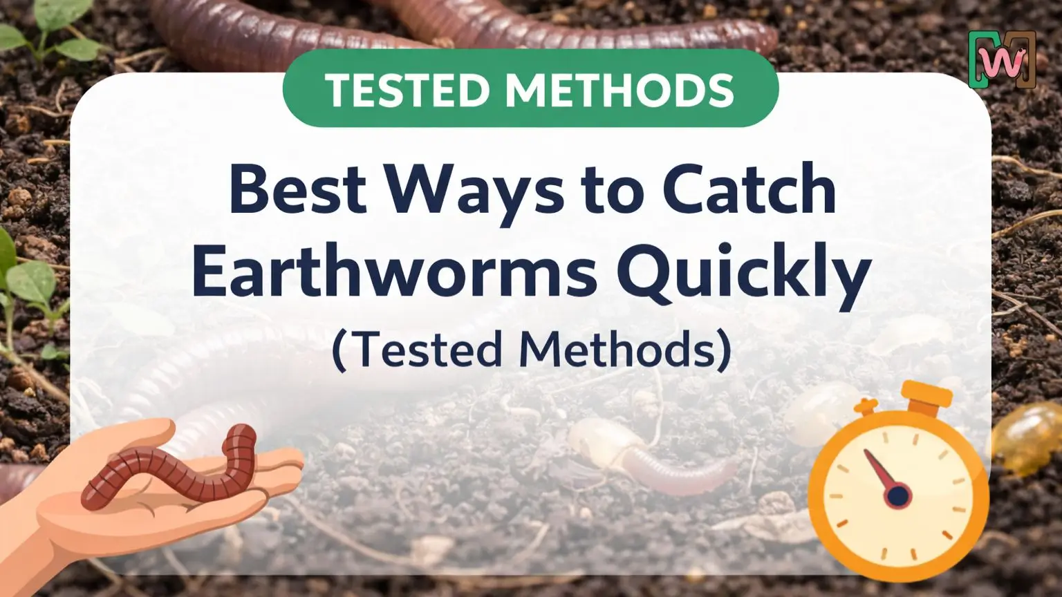 Best Ways to Catch Earthworms Quickly | Tested Methods